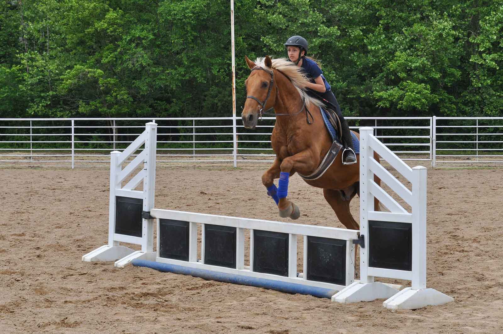 Kraus Farms Equestrian Horse Riding Shows - Kraus Farms Equestrian Center